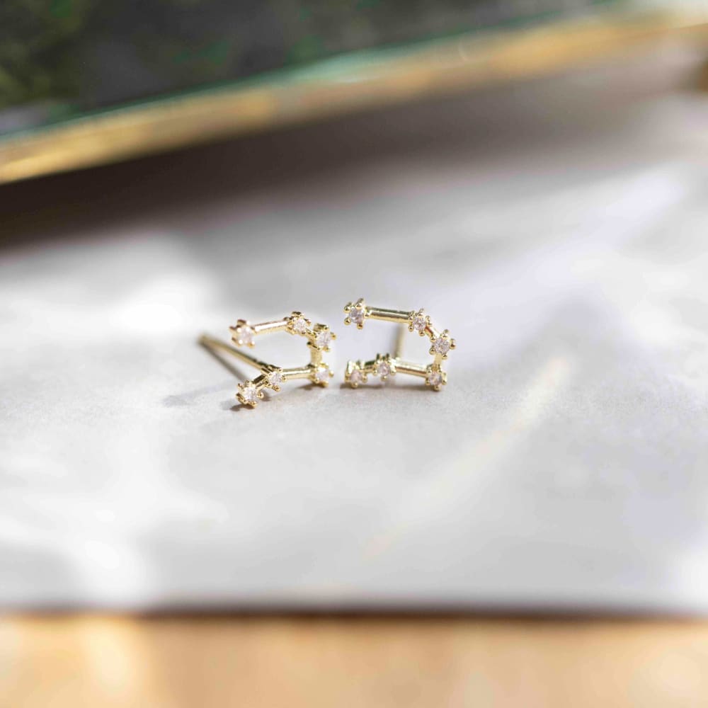 Gemini constellation earrings store